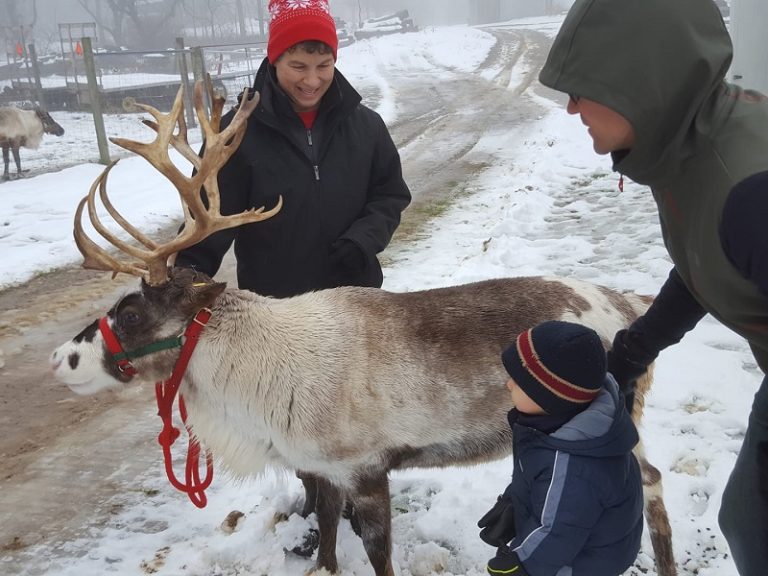 2024 Reindeer Ranch Tours Start Nov 23: Book Your Ticket for Reindeer ...