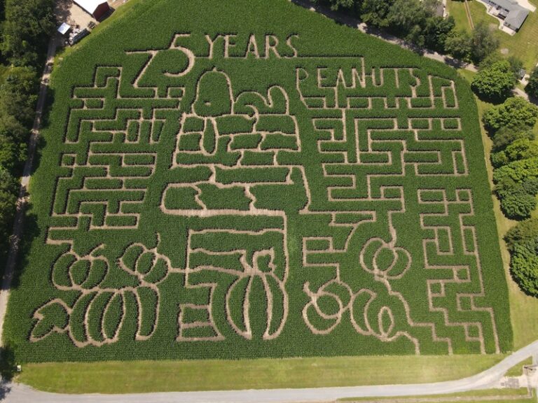 11 Corn Mazes in Southwest Michigan for A-MAZE-ing Fall Fun - KZOOKIDS