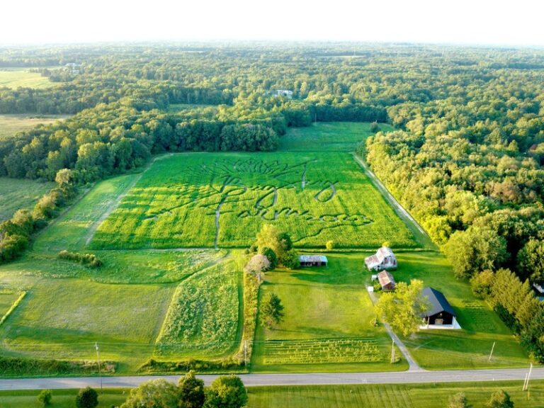 11 Corn Mazes in Southwest Michigan for A-MAZE-ing Fall Fun - KZOOKIDS